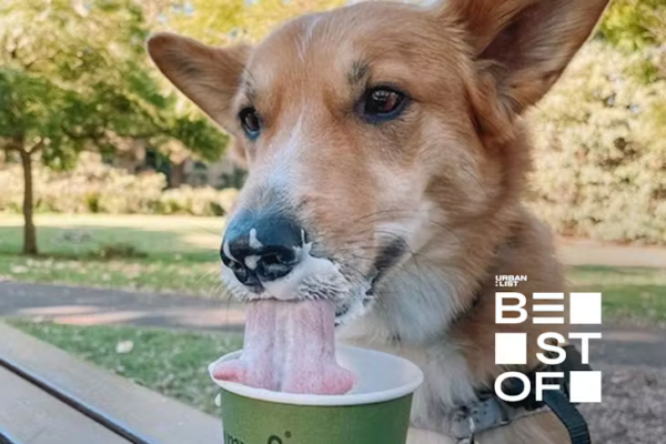 20 Of The Best Dog-Friendly Cafes In Perth - Suburblocal