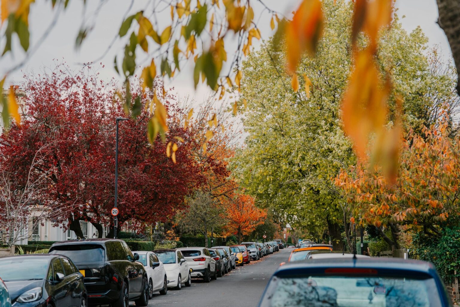 Melbourne Autumn Leaves - Suburblocal