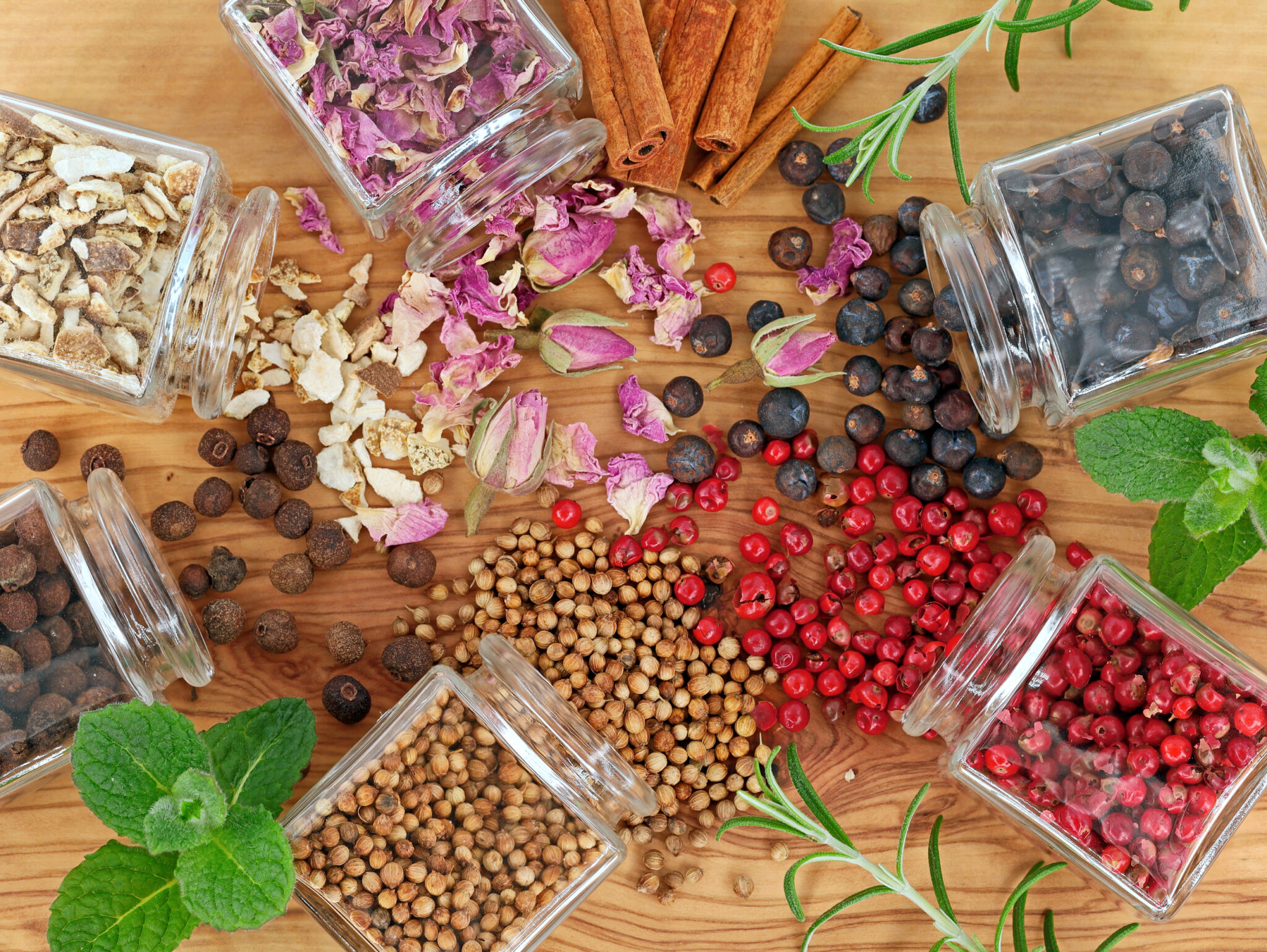 Understanding Botanicals A Beginner’s Guide